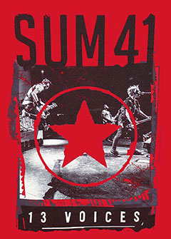 Wholesale Sum 41 Concert T-shirts and Band Merchandise